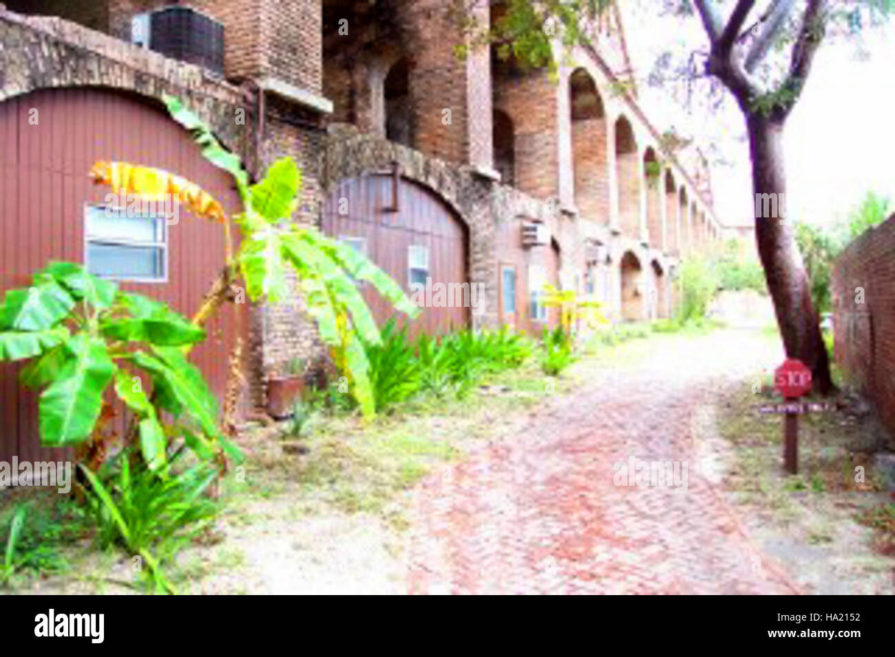 drytortugasnps 6022103993 DRTO 084 Stock Photo - Alamy