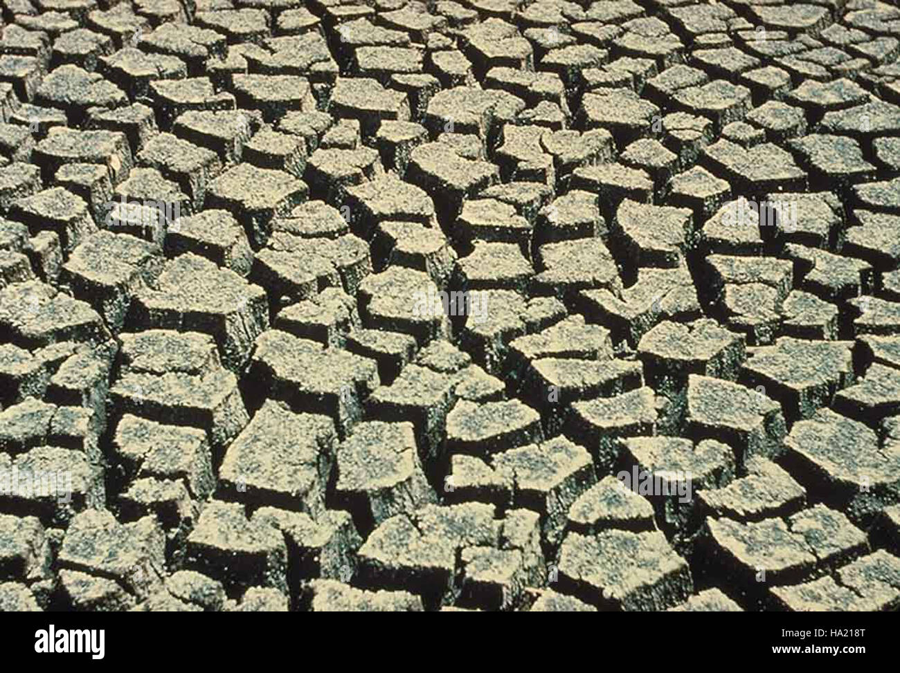 The Everglades National Park faces significant challenges from drought ...