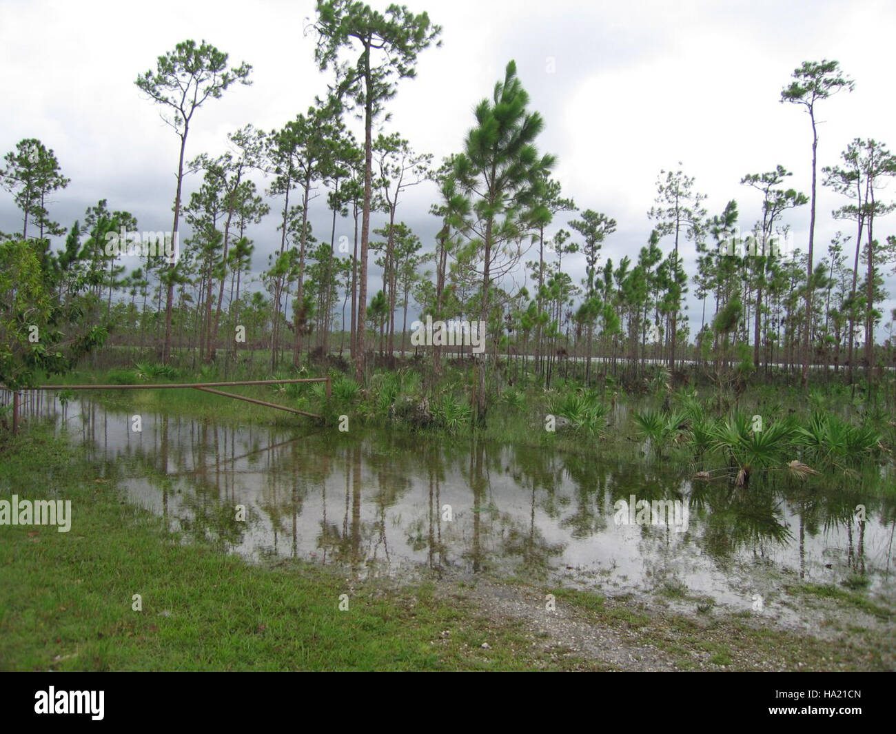 Hurricane Katrina and Wilma, both major storms in 2005, caused ...