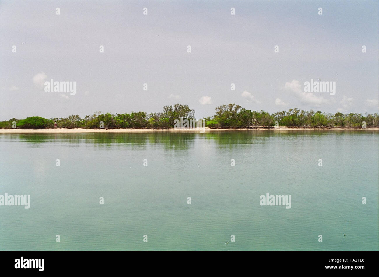 A photograph of North Nest Key in Everglades National Park, capturing ...