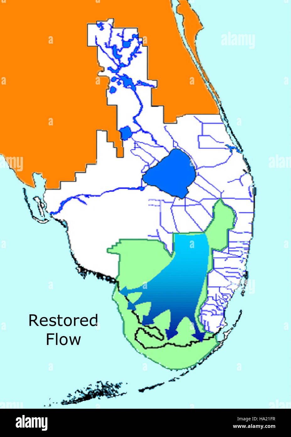 Restoration of natural water flow in the Everglades National Park, a ...