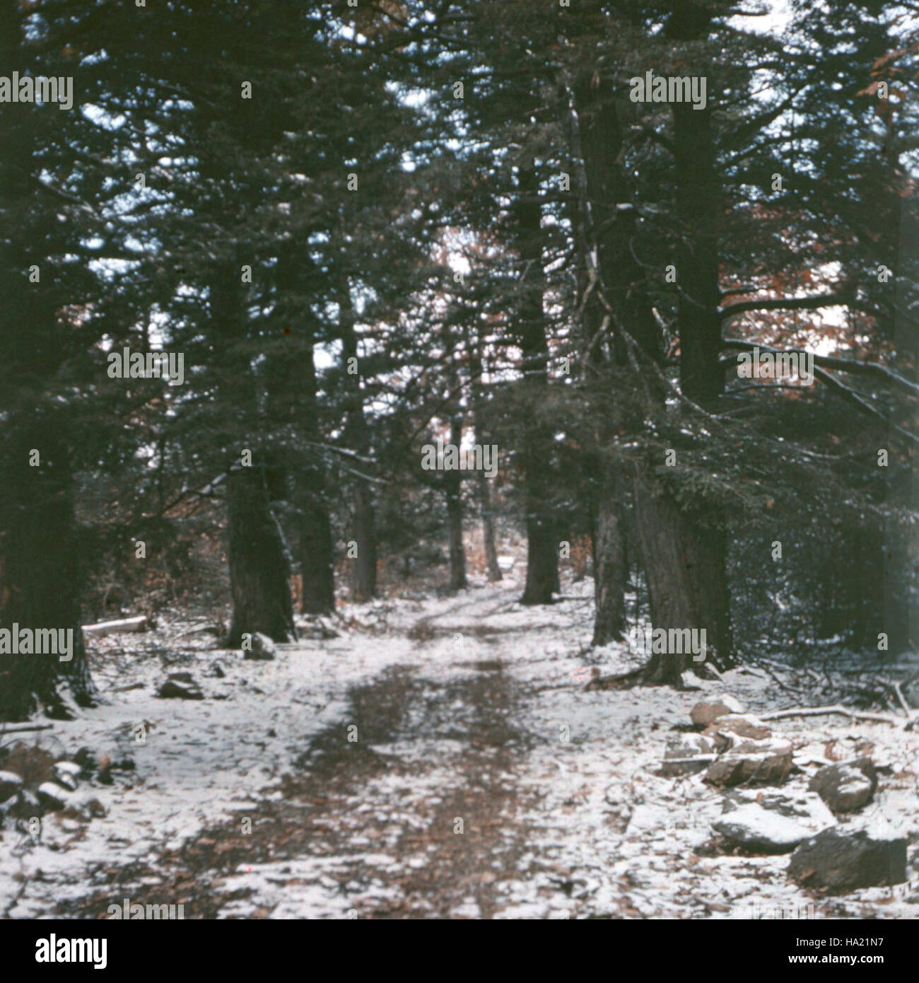 A beautiful landscape captured in a national park, showcasing the ...