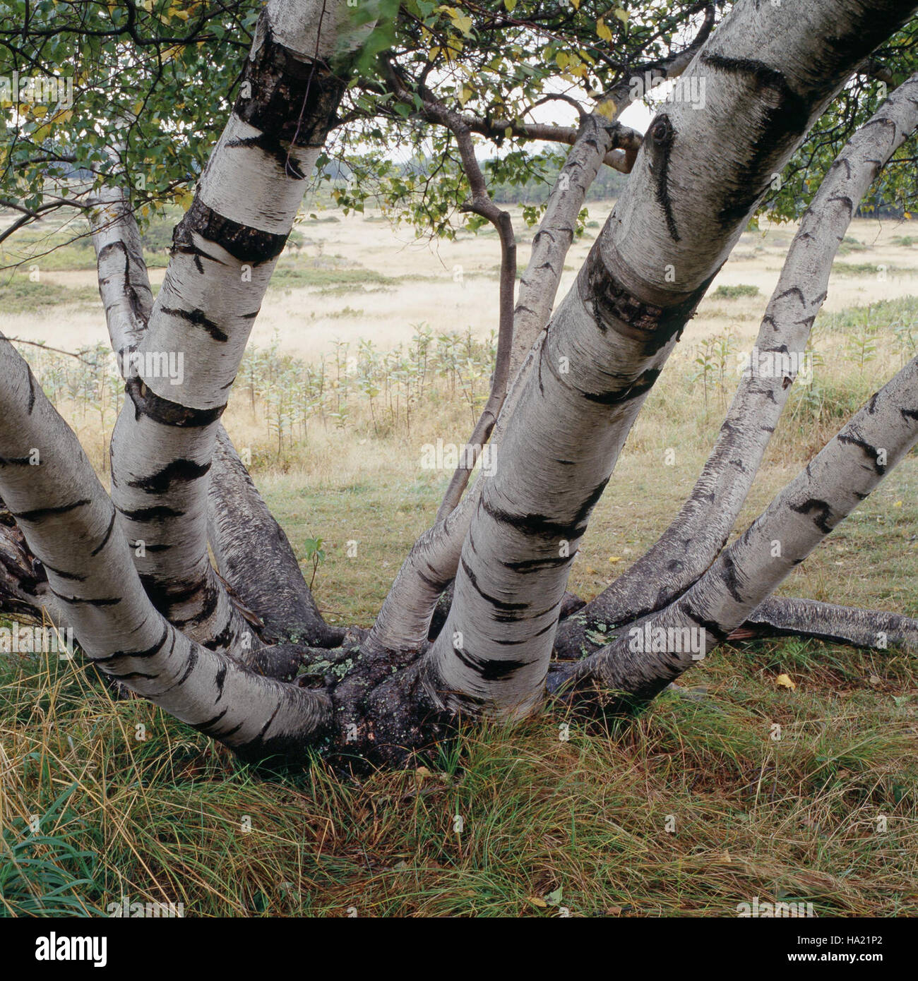 This image captures the natural beauty and diverse landscapes of a U.S ...