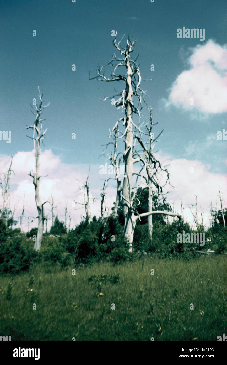 Big Meadows in Shenandoah National Park offers expansive views and a ...