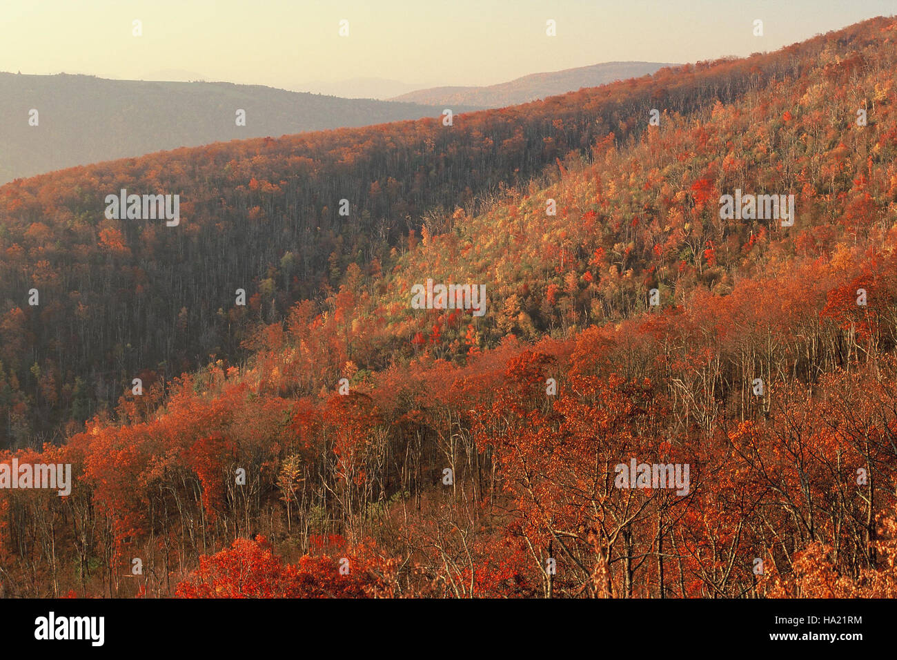 Moormans River Overlook in Shenandoah National Park offers a scenic ...