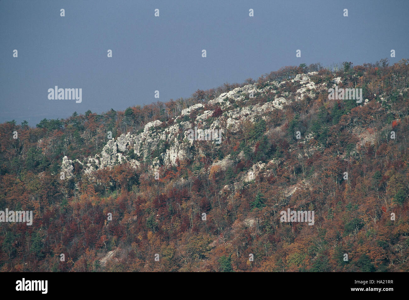 The view from Brown Overlook in a national park offers a breathtaking ...