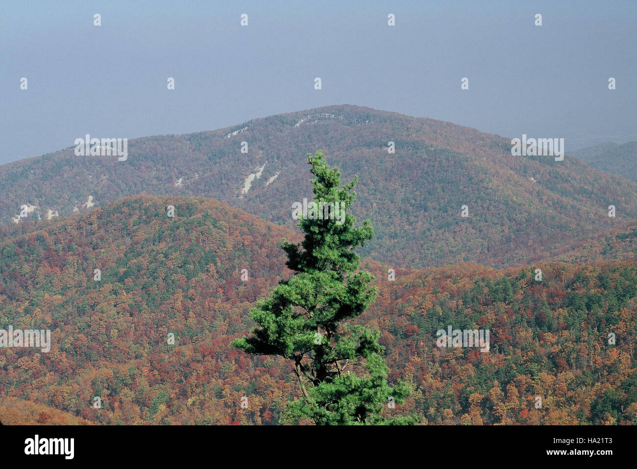 The Rocky Mountains are viewed from the Brown Mountain Overlook ...
