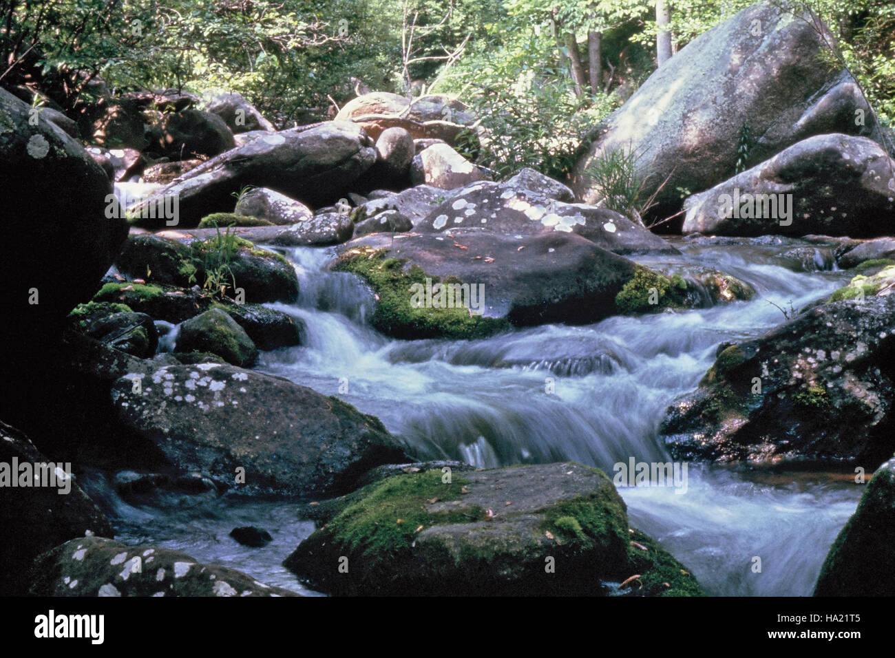 Big Run is a natural area located within the national park system ...