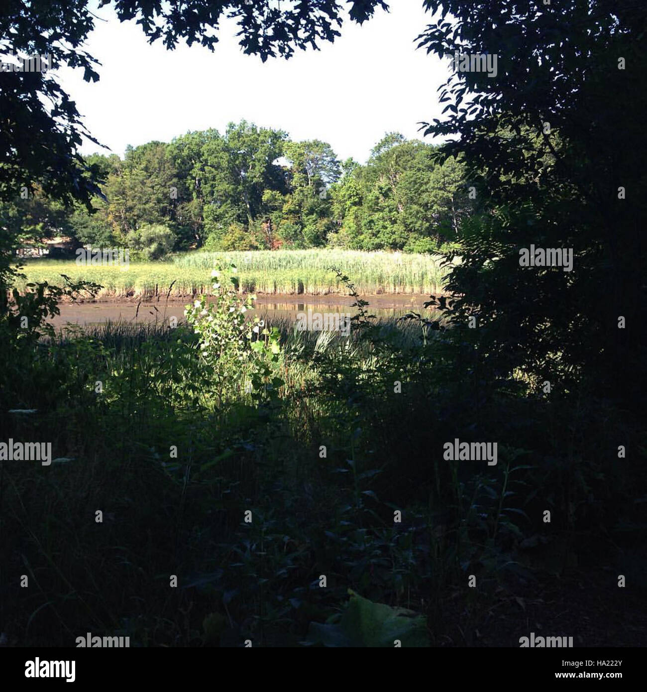 At Saugus Iron Works National Park, visitors can enjoy a nature trail ...