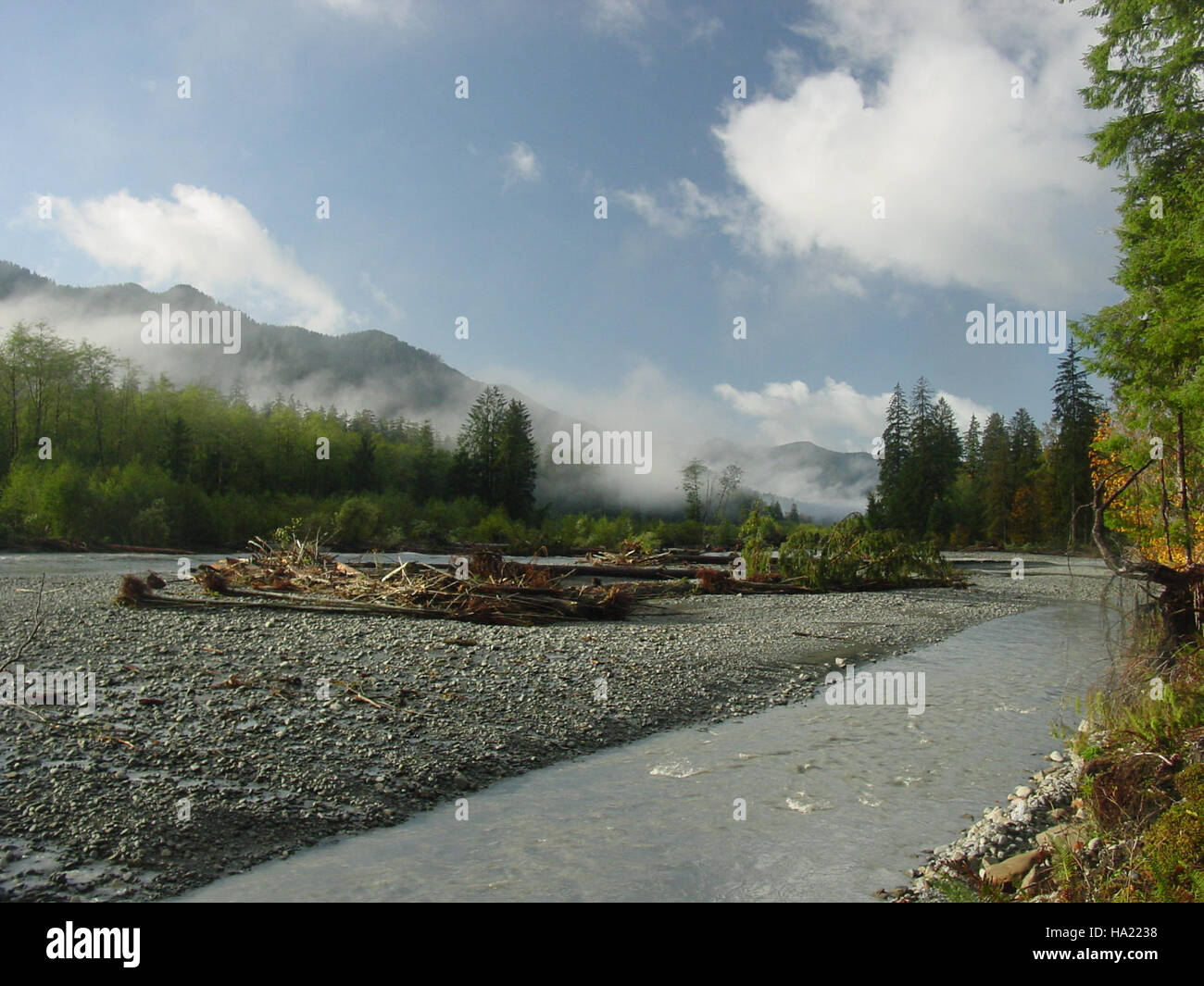 This image showcases the Hoh Rain Forest in Olympic National Park, a ...