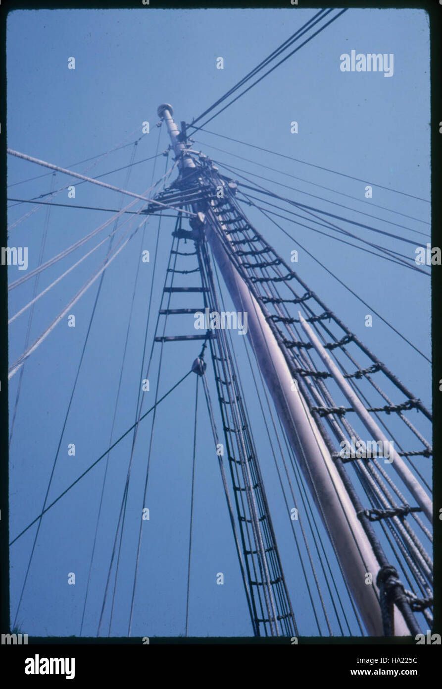 Rat lines hi-res stock photography and images - Alamy