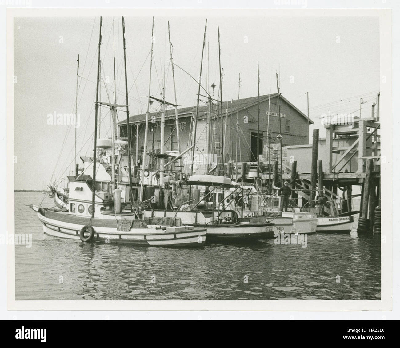 This historical image shows five Monterey Clippers docked outside the A ...