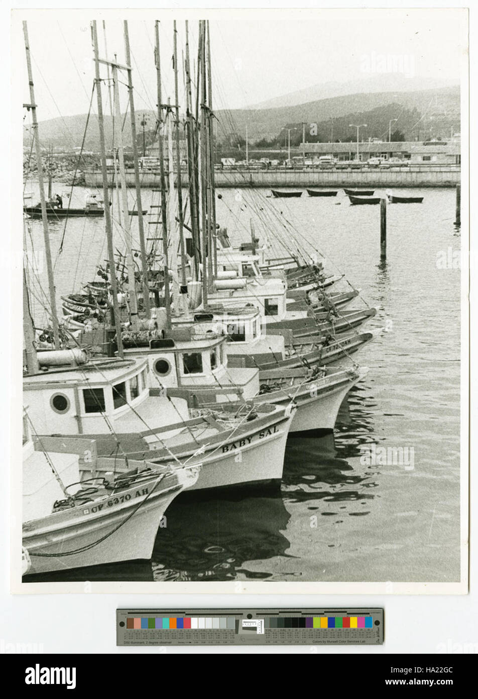 sfmaritimenps collections 21853040741 Baby Sal (Monterey clipper) in ...