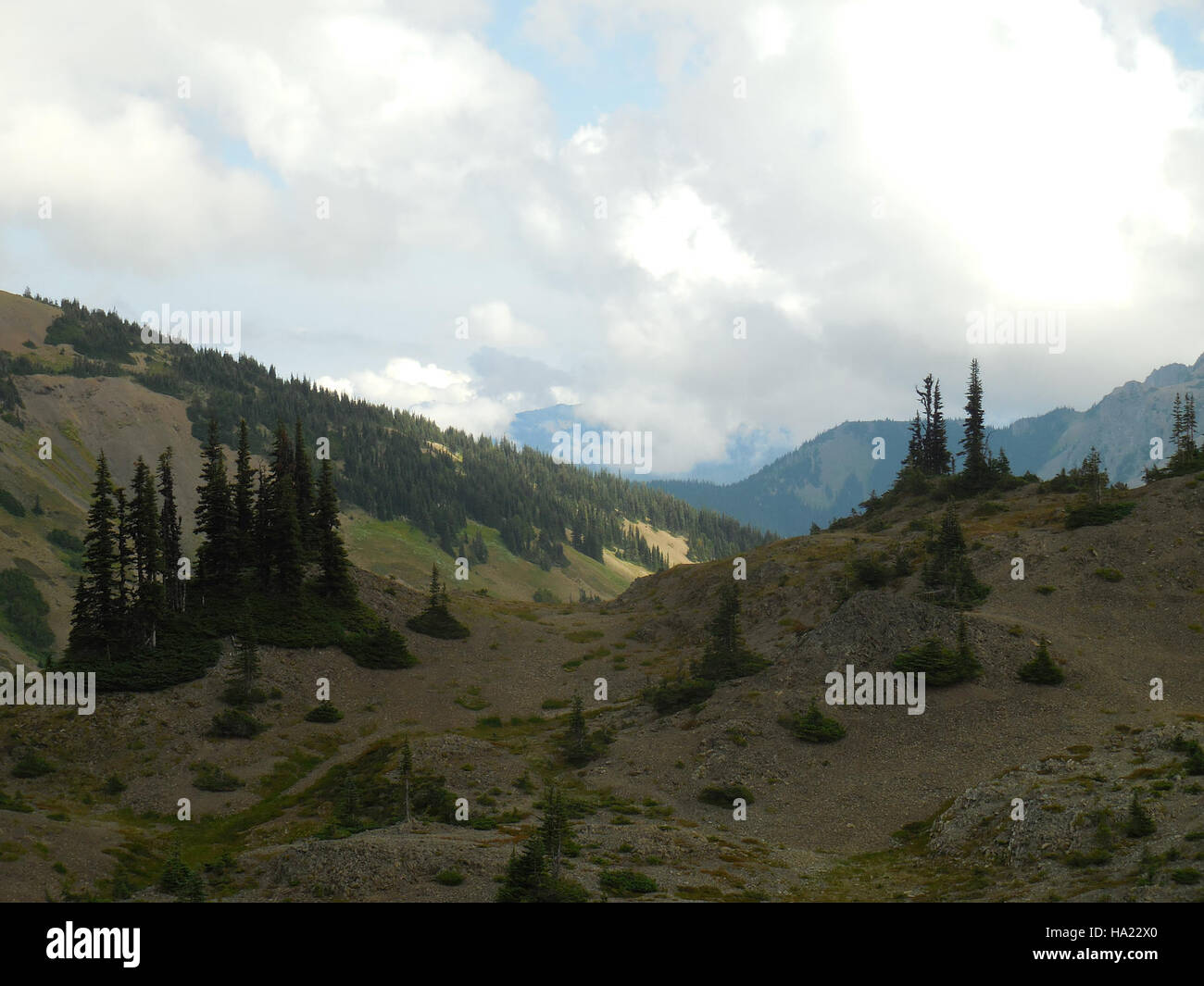 The alpine slopes from Hurricane Hill in Olympic National Park showcase ...