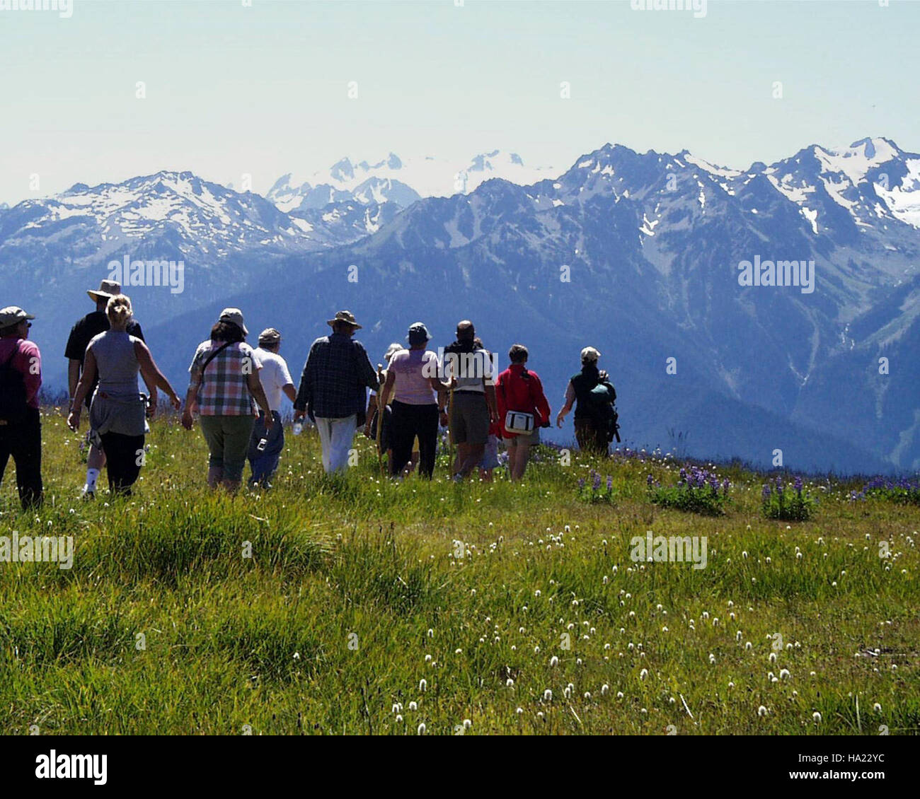 Hikers explore Hurricane Ridge in Olympic National Park, where visitors ...