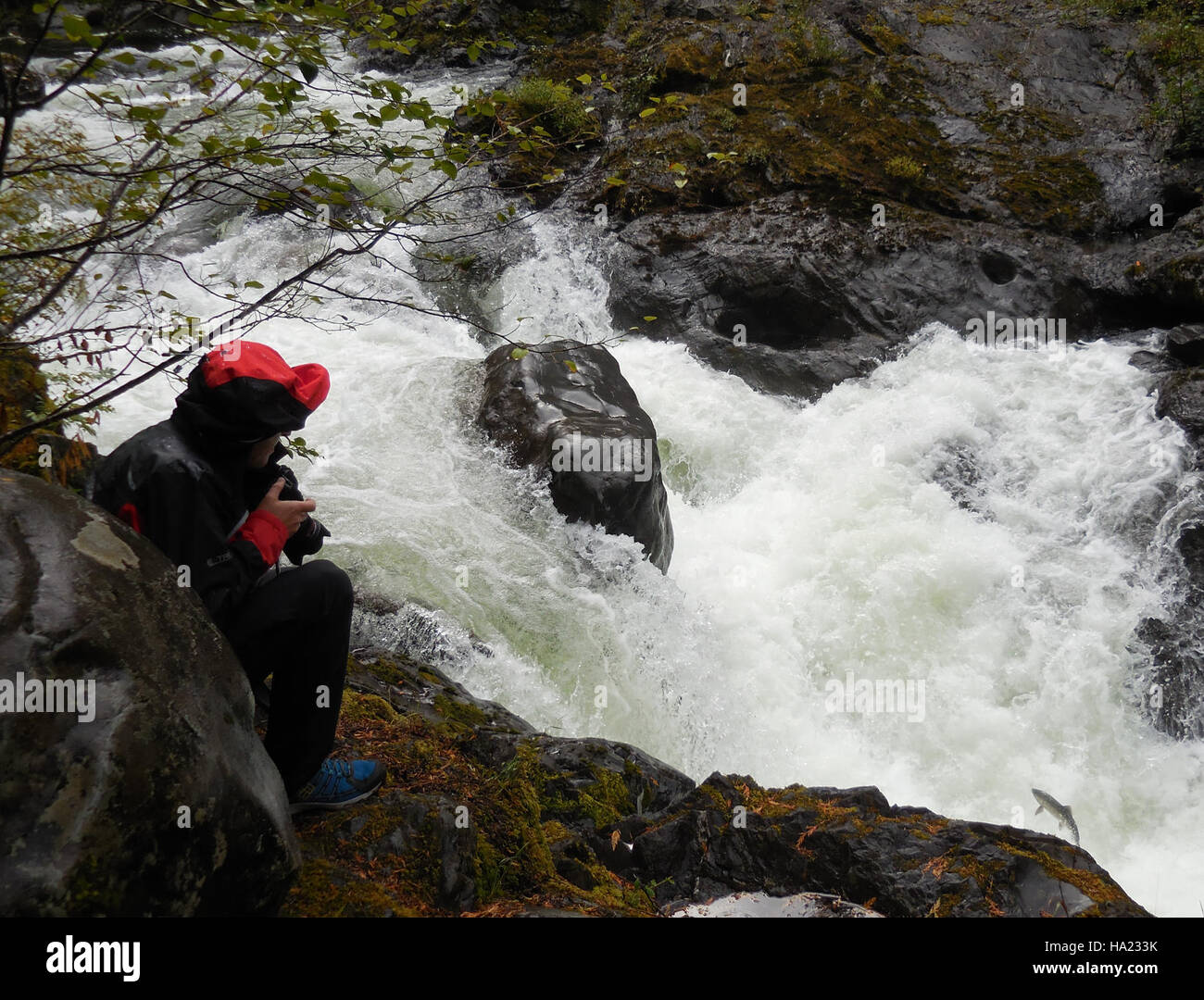 Olympic National Park in Washington State is known for its diverse ...