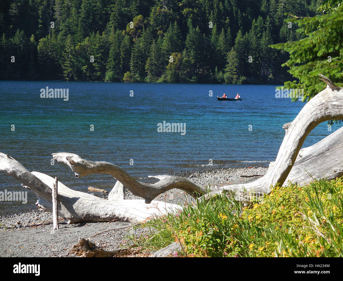Lake Crescent in Olympic National Park is known for its stunning views ...