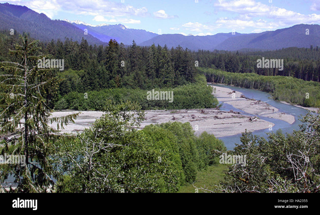 The Queets River in Olympic National Park, captured by Robert Van Pelt ...
