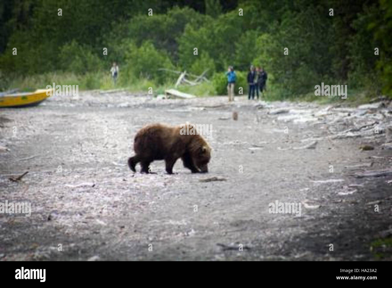 Ranger Dave, a park ranger in Katmai National Park, educates visitors ...