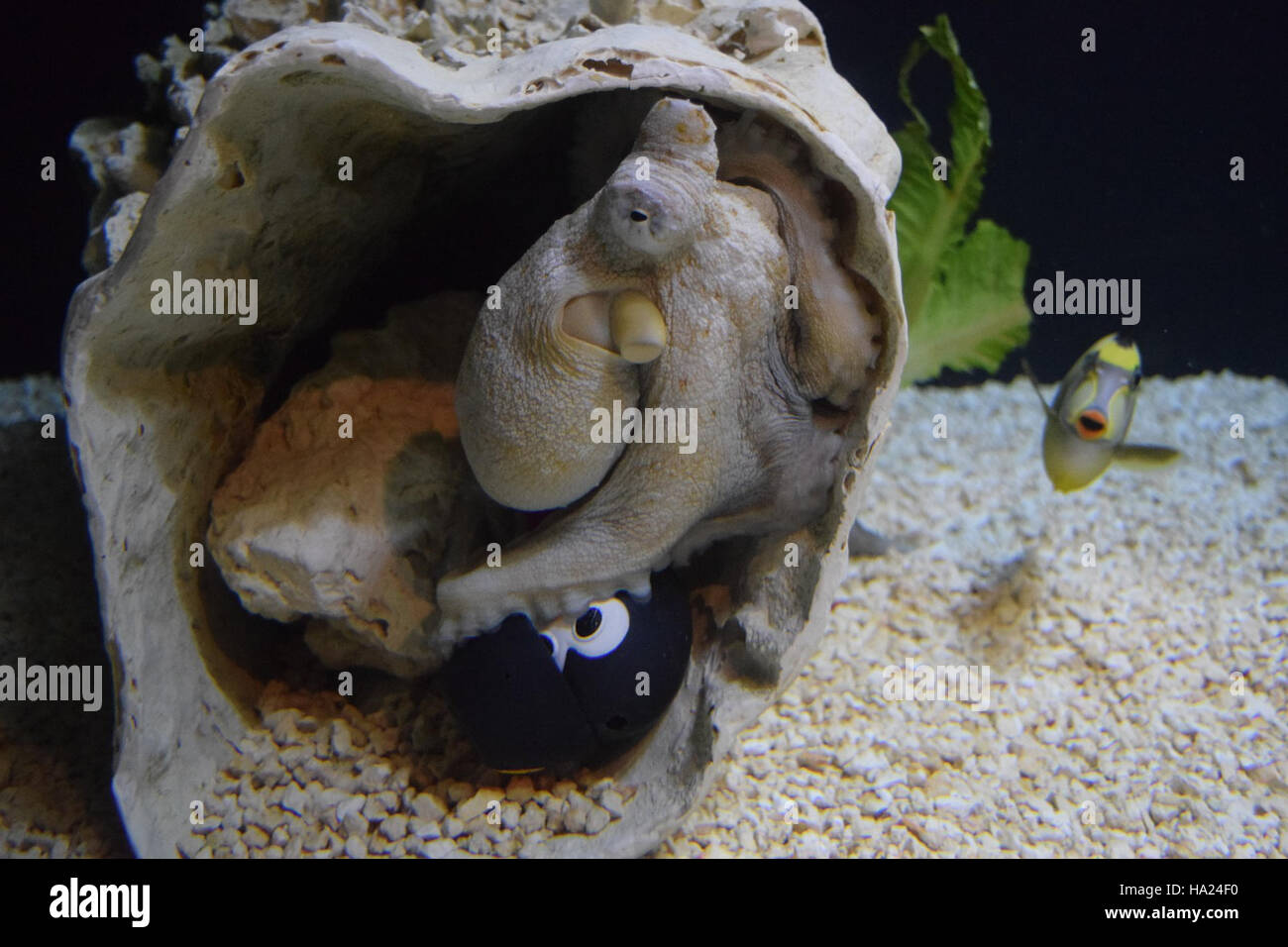 The War in the Pacific National Historical Park preserves sites ...