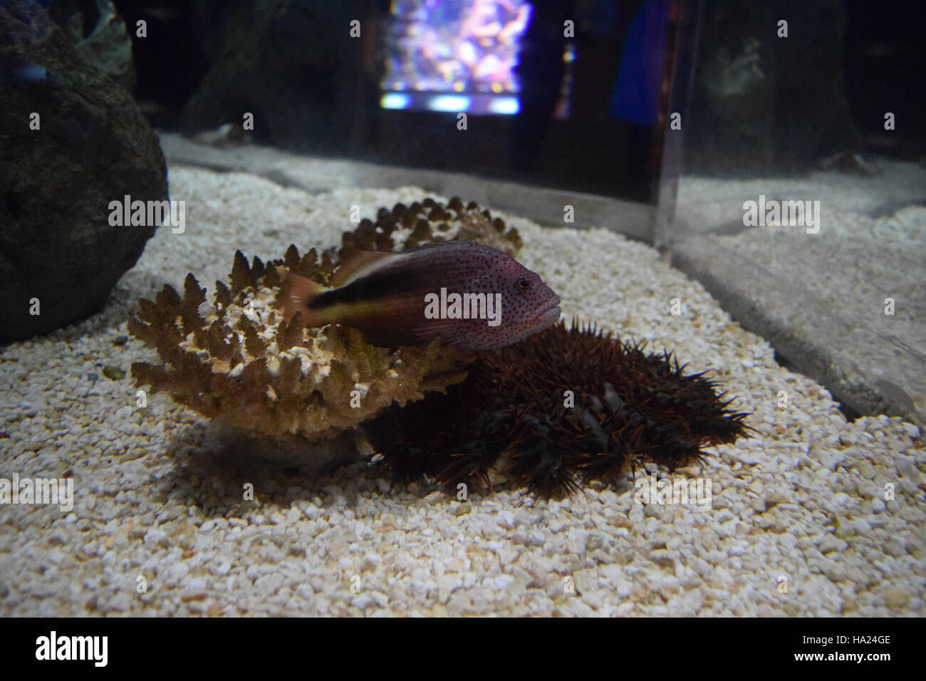 A photo from the War in the Pacific National Historical Park captures a ...