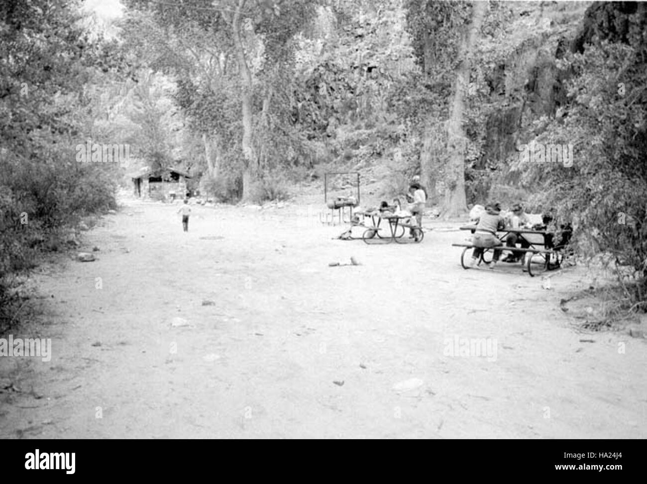 The Bright Angel Campground in the Grand Canyon, photographed in 1981 ...