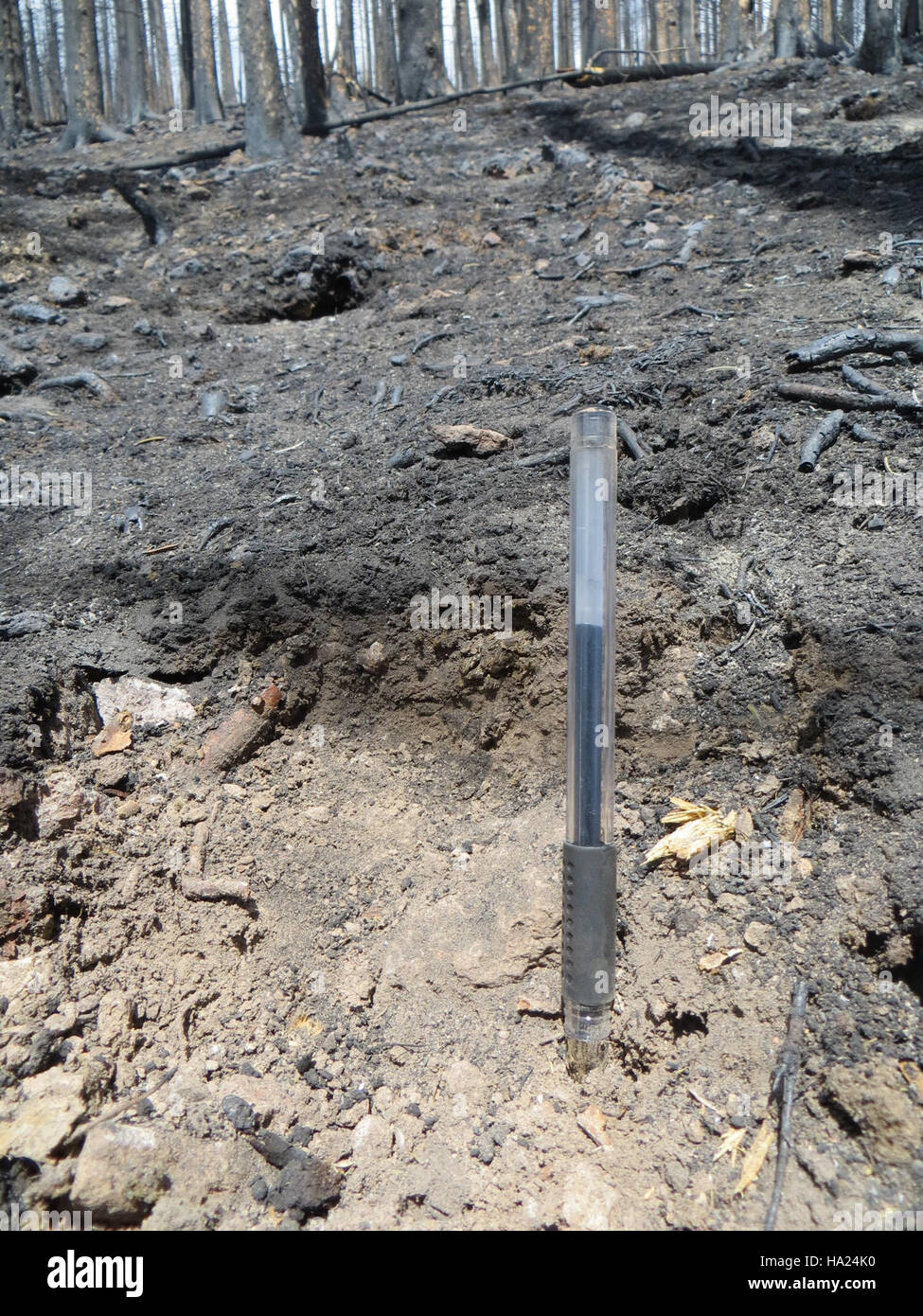 The Thompson Ridge fire in New Mexico was a major wildfire incident ...