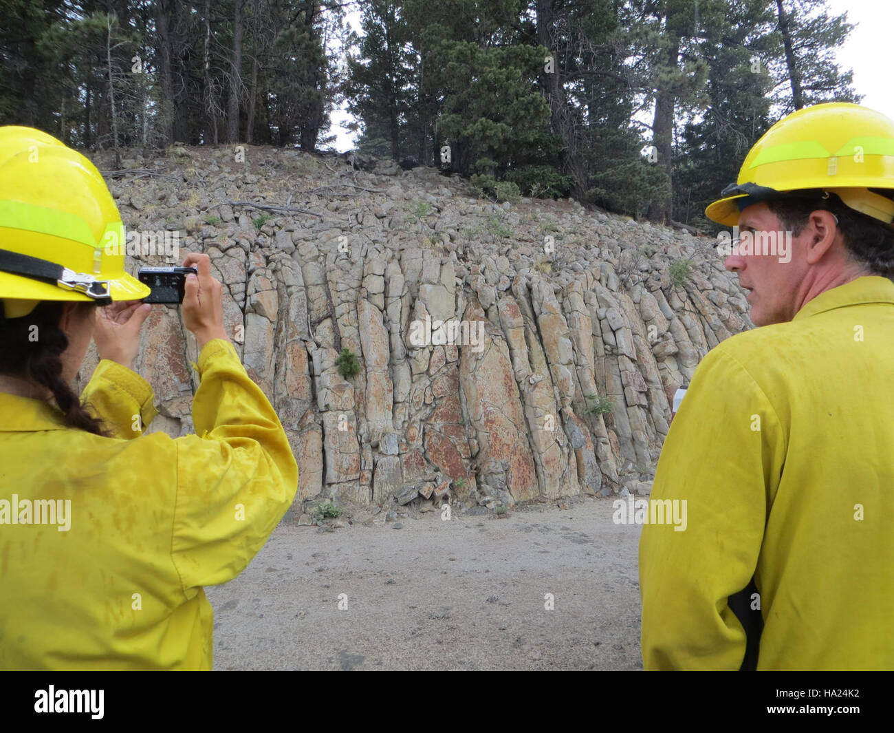 The Thompson Ridge fire, which affected forest areas in the U.S ...