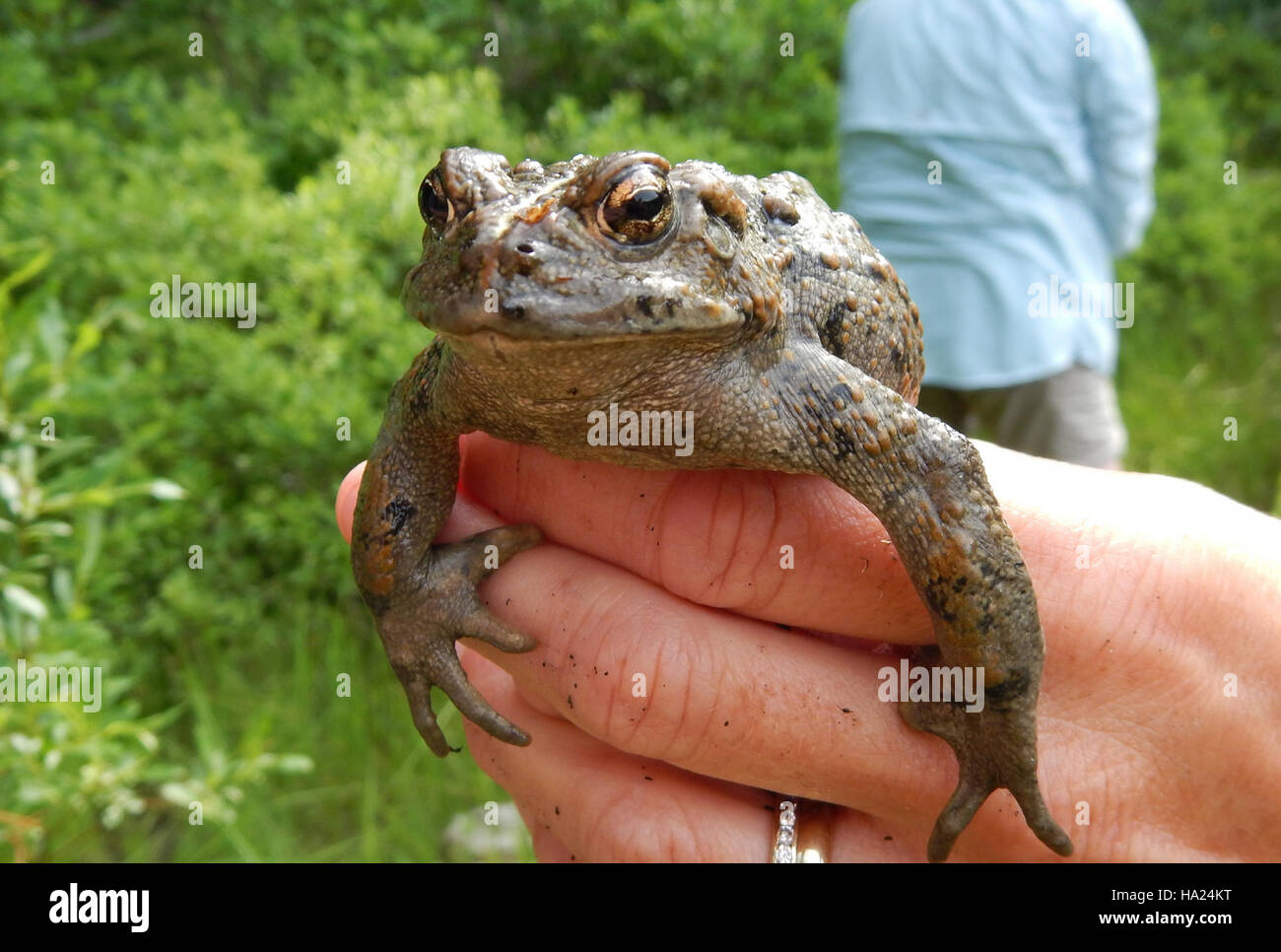 The USDA Youth Forest Monitoring Program provides hands-on experience ...
