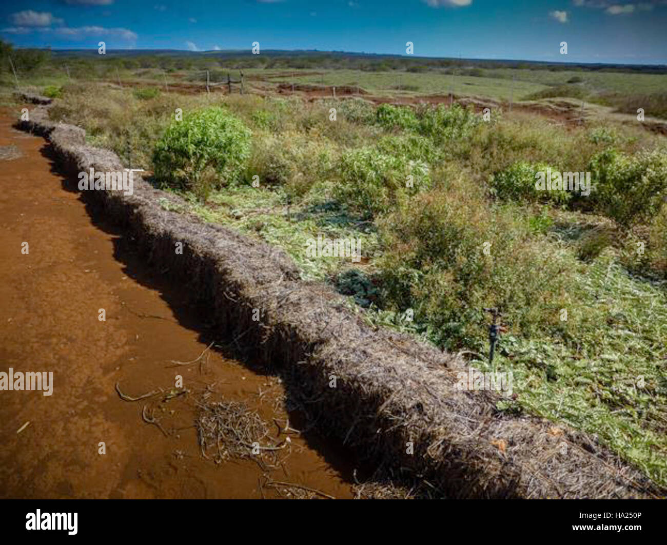 Molokai, located in Hawaii, offers a unique opportunity for nature ...