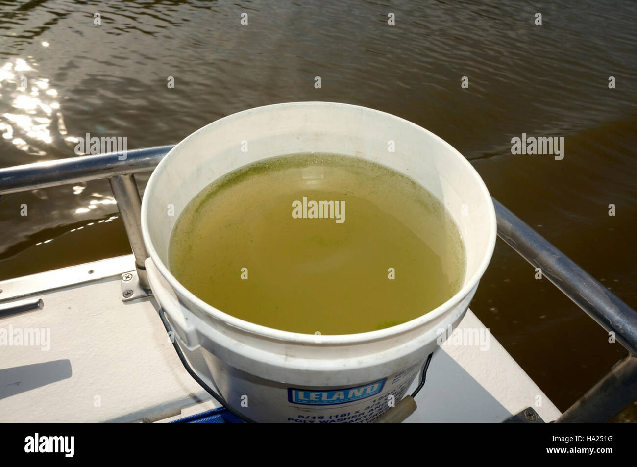 A bucket of water from Lake Erie, highlighting the importance of ...