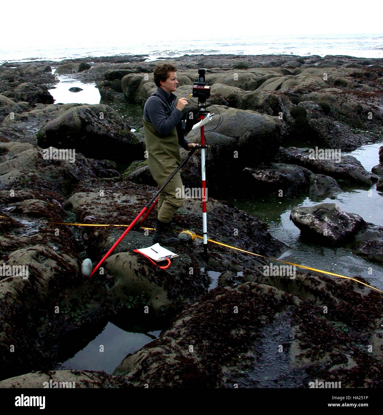 Rangers at Olympic National Park monitor marine life, including sea ...
