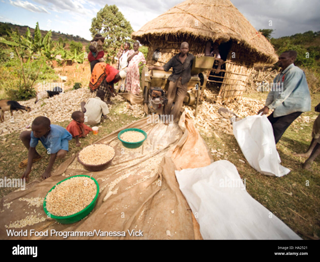 A group of people in front of a traditional hut in Africa, highlighting ...