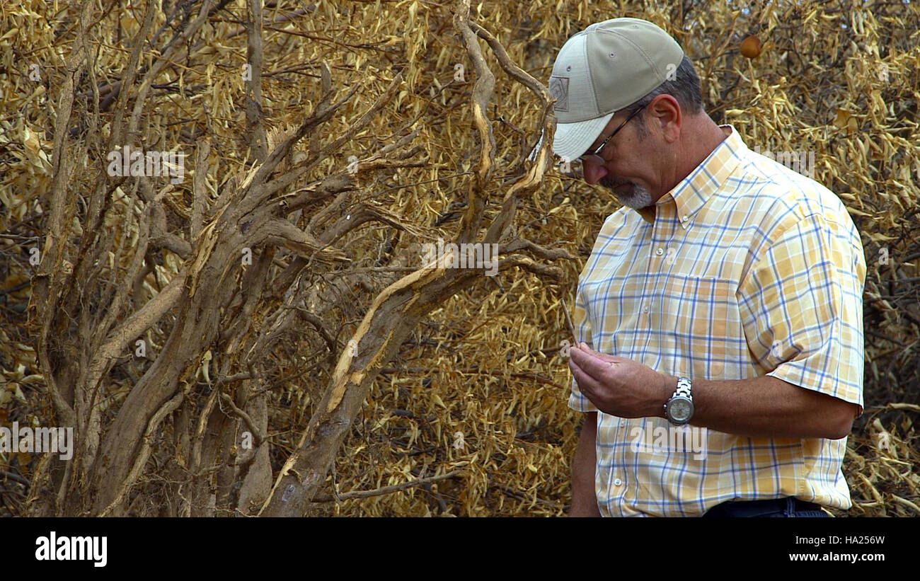 The USDA highlights its role in supporting science-based environmental ...