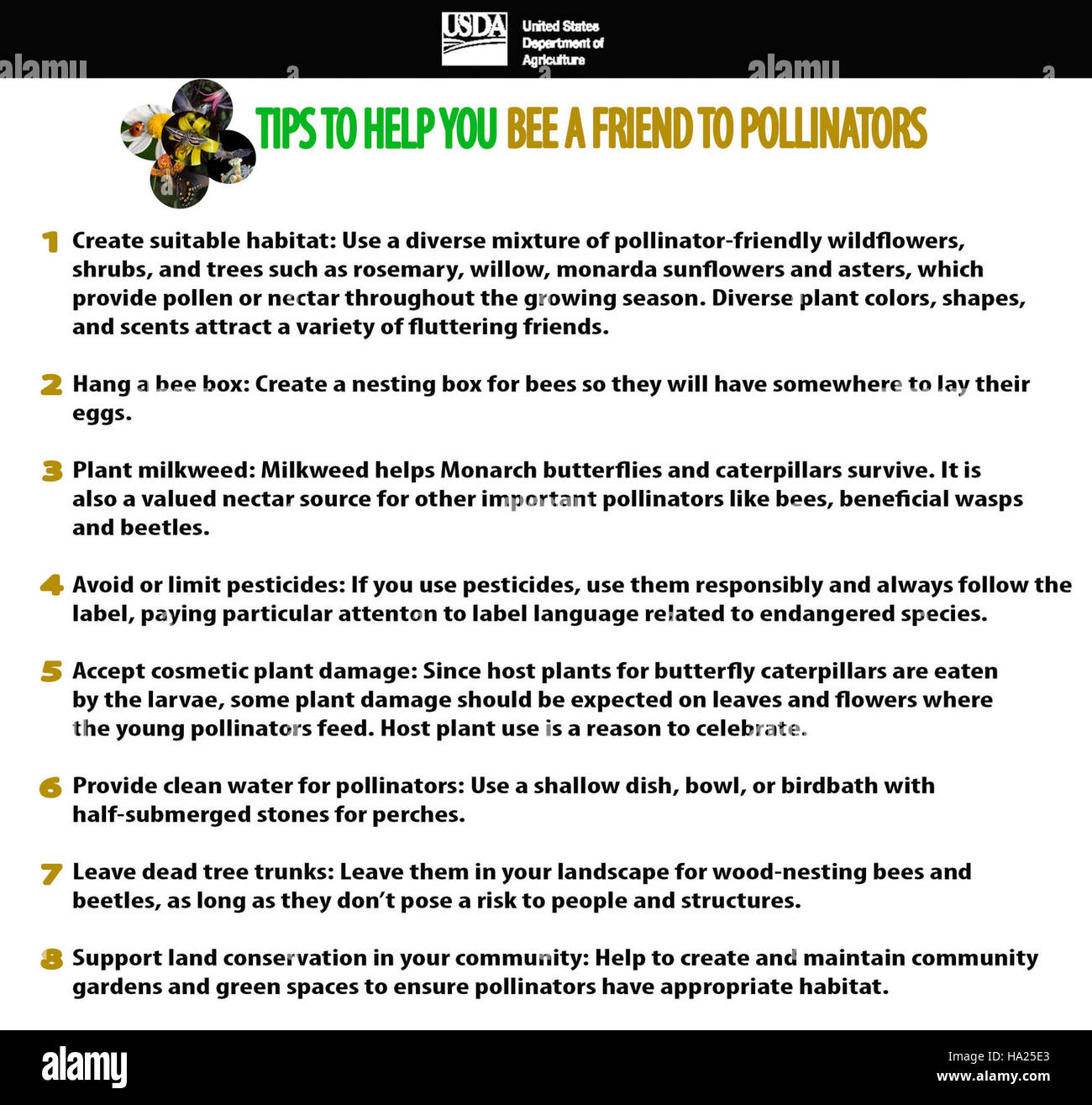 Insects in ecological systems hi-res stock photography and images - Alamy