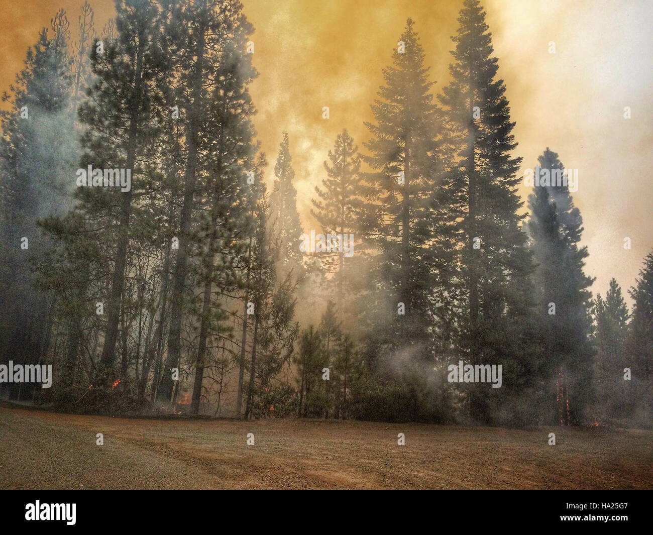 The USDA provides support in addressing California wildfires through ...