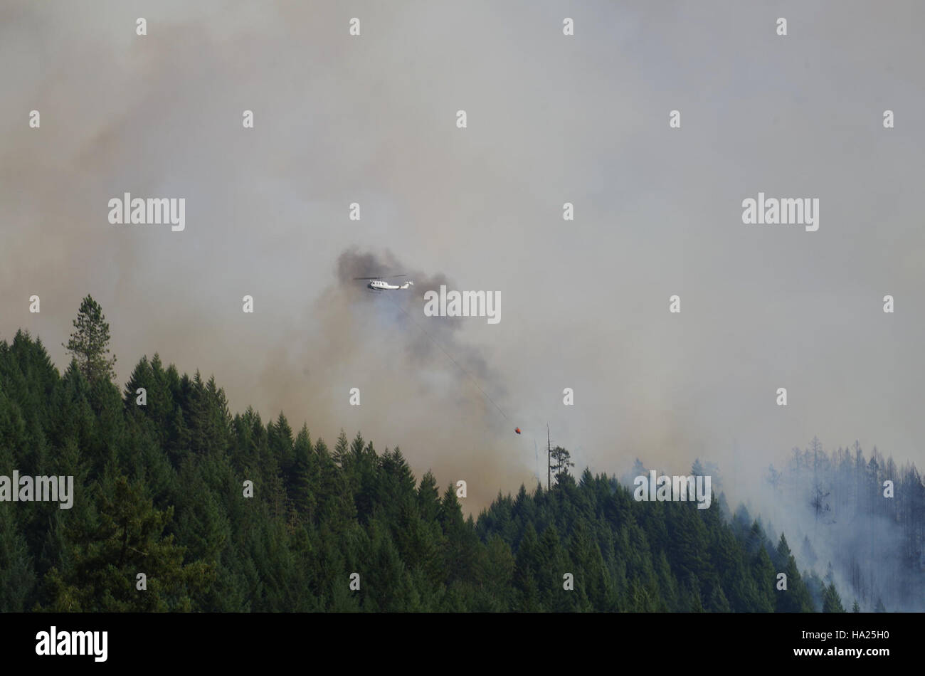 The photo illustrates the devastating effects of the Oregon wildfire ...
