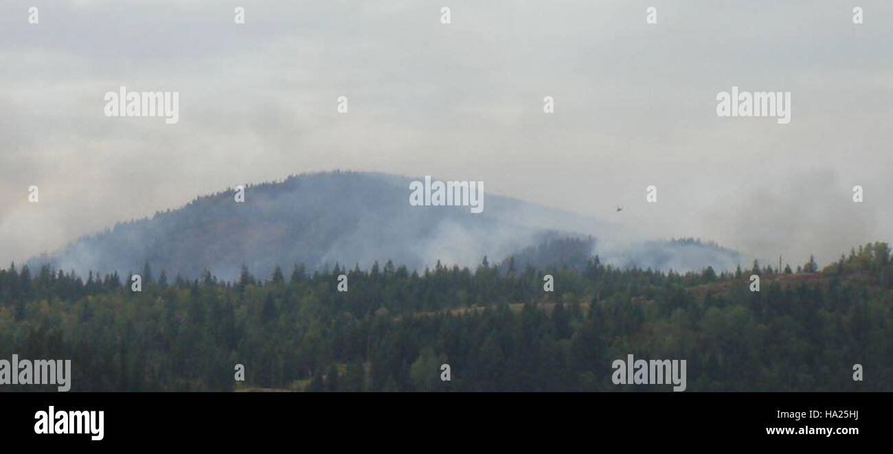 This image shows the aftermath of a wildfire in Washington, with the U ...