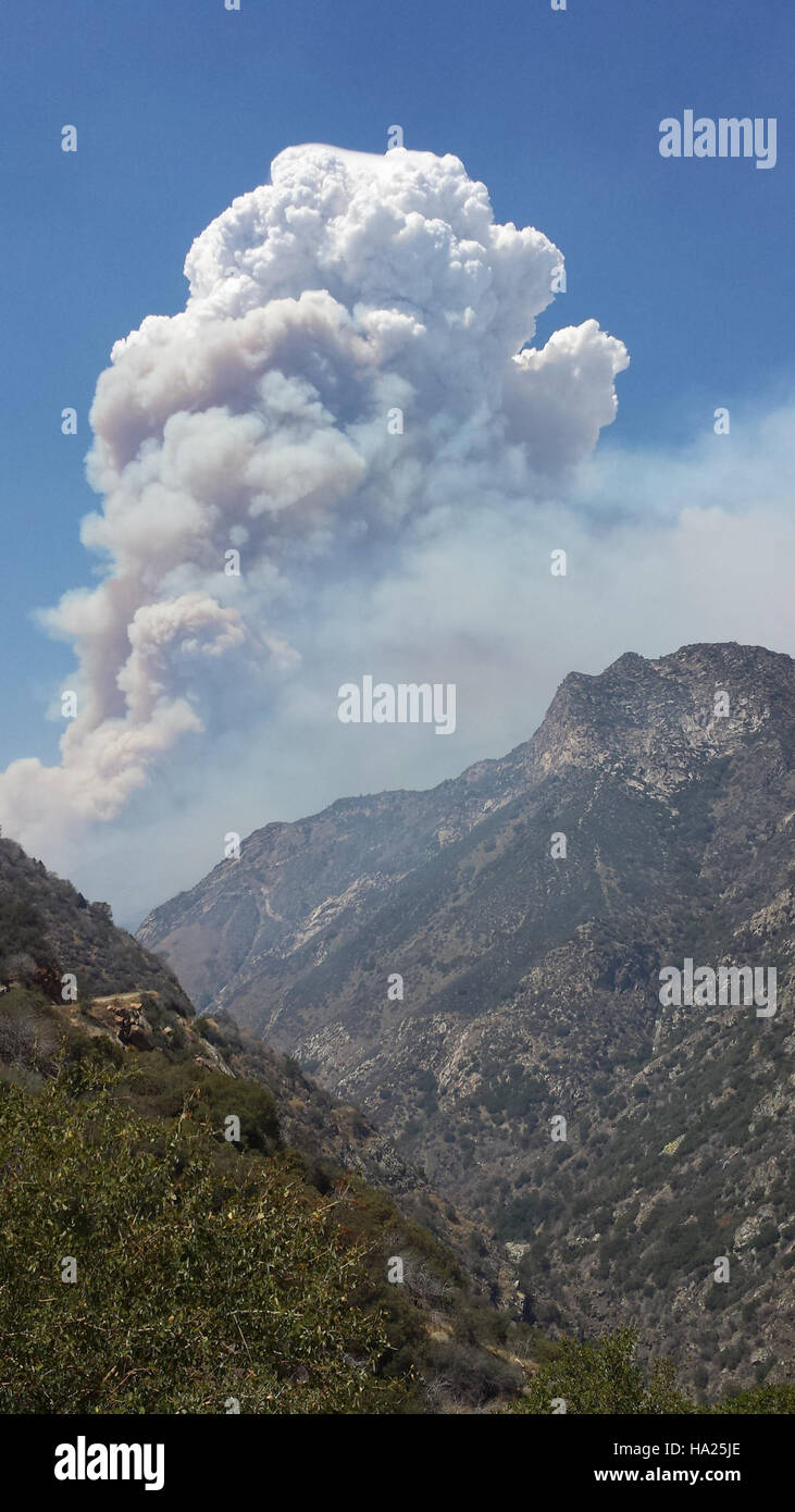 The California fire has prompted significant wildfire management ...