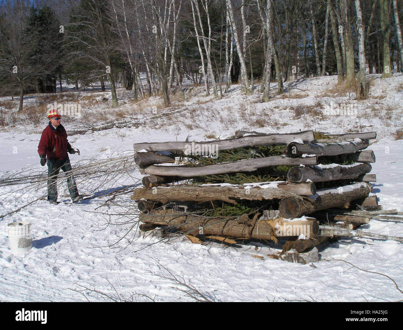Turning trees into mulch hi-res stock photography and images - Alamy