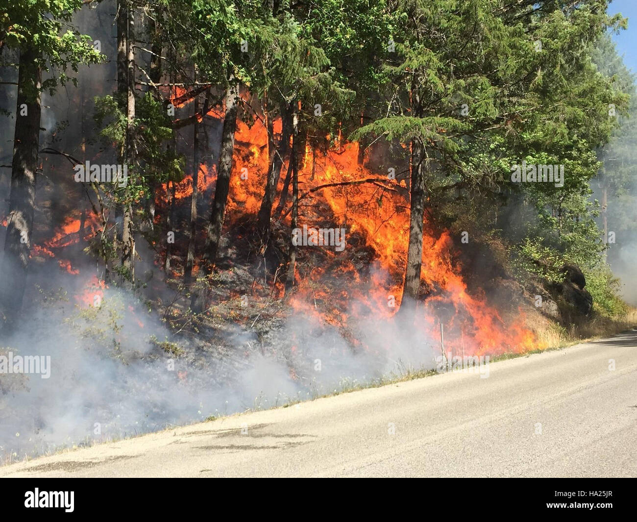 The Oregon wildfire of 2015 caused significant damage to local ...