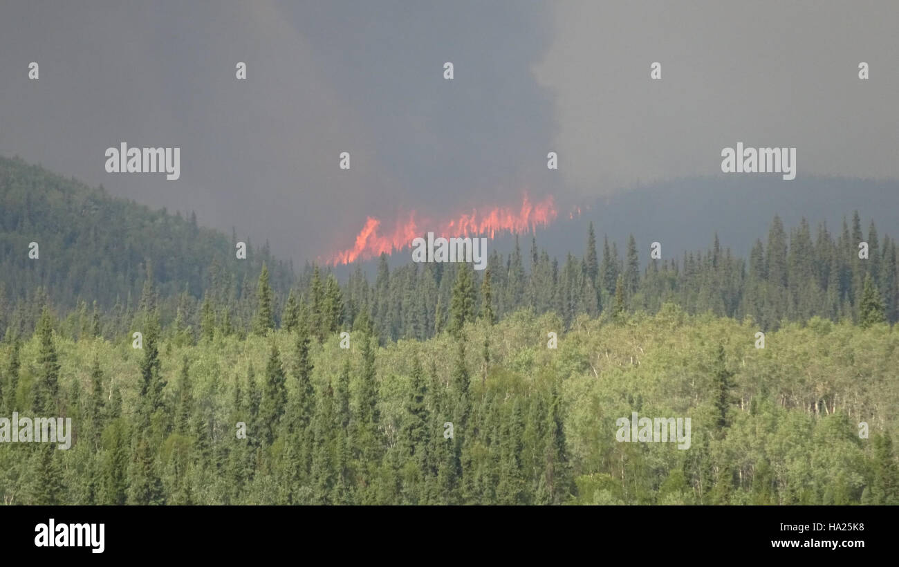 Firefighters in Alaska work to control a wildfire using water pumps and ...
