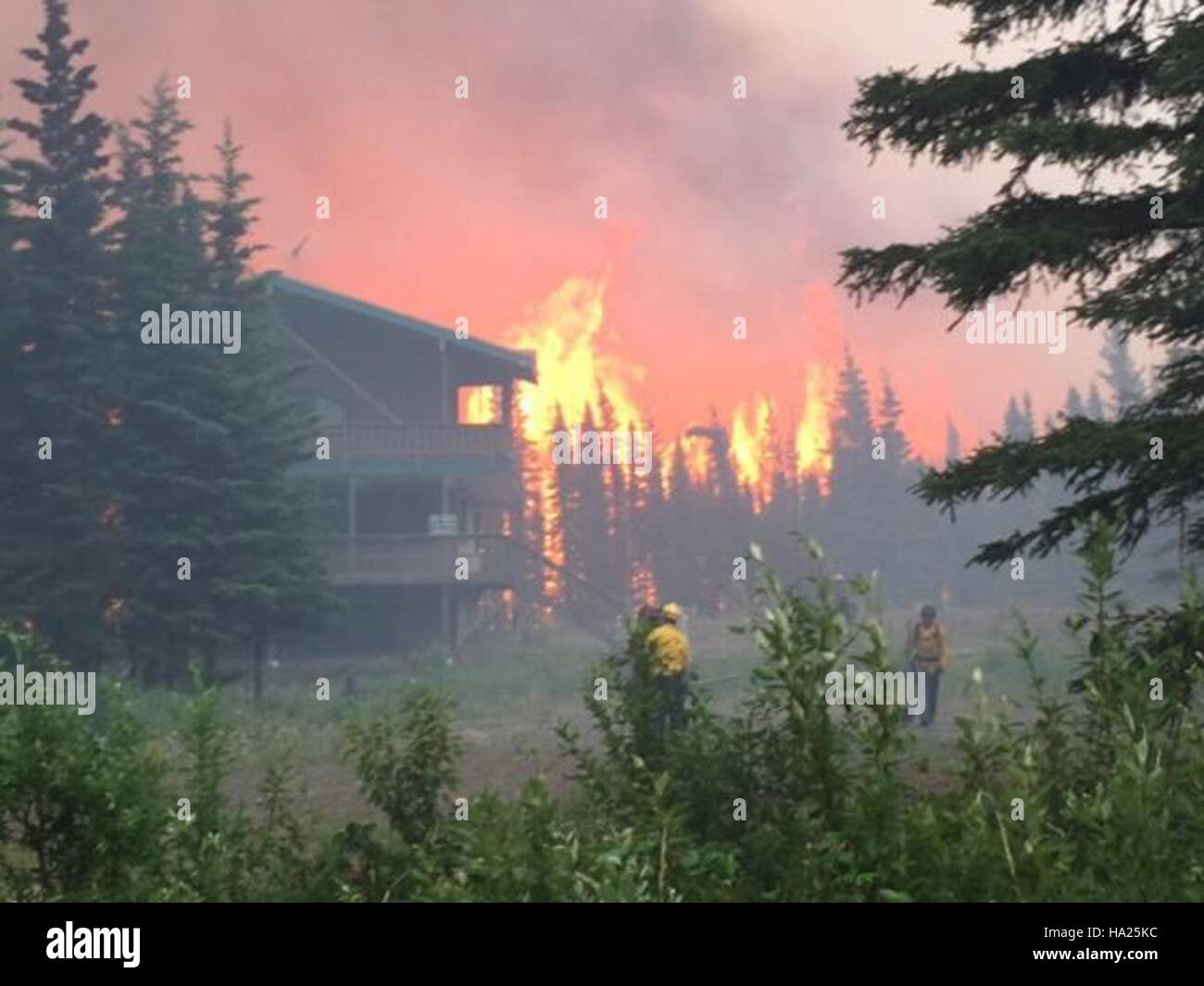 The Alaska Fire, a wildfire in the state, prompted a large-scale firefighting effort. The U.S ...