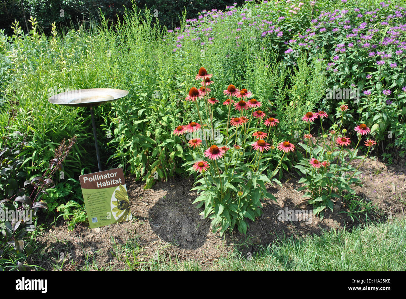 A pollinator garden in a U.S. national park is designed to attract and ...