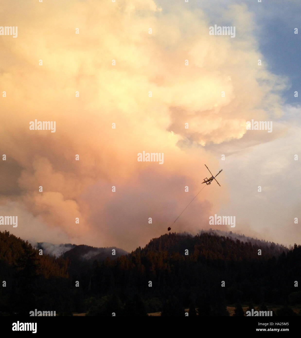 This image depicts the aftermath of a wildfire in Oregon, showcasing ...