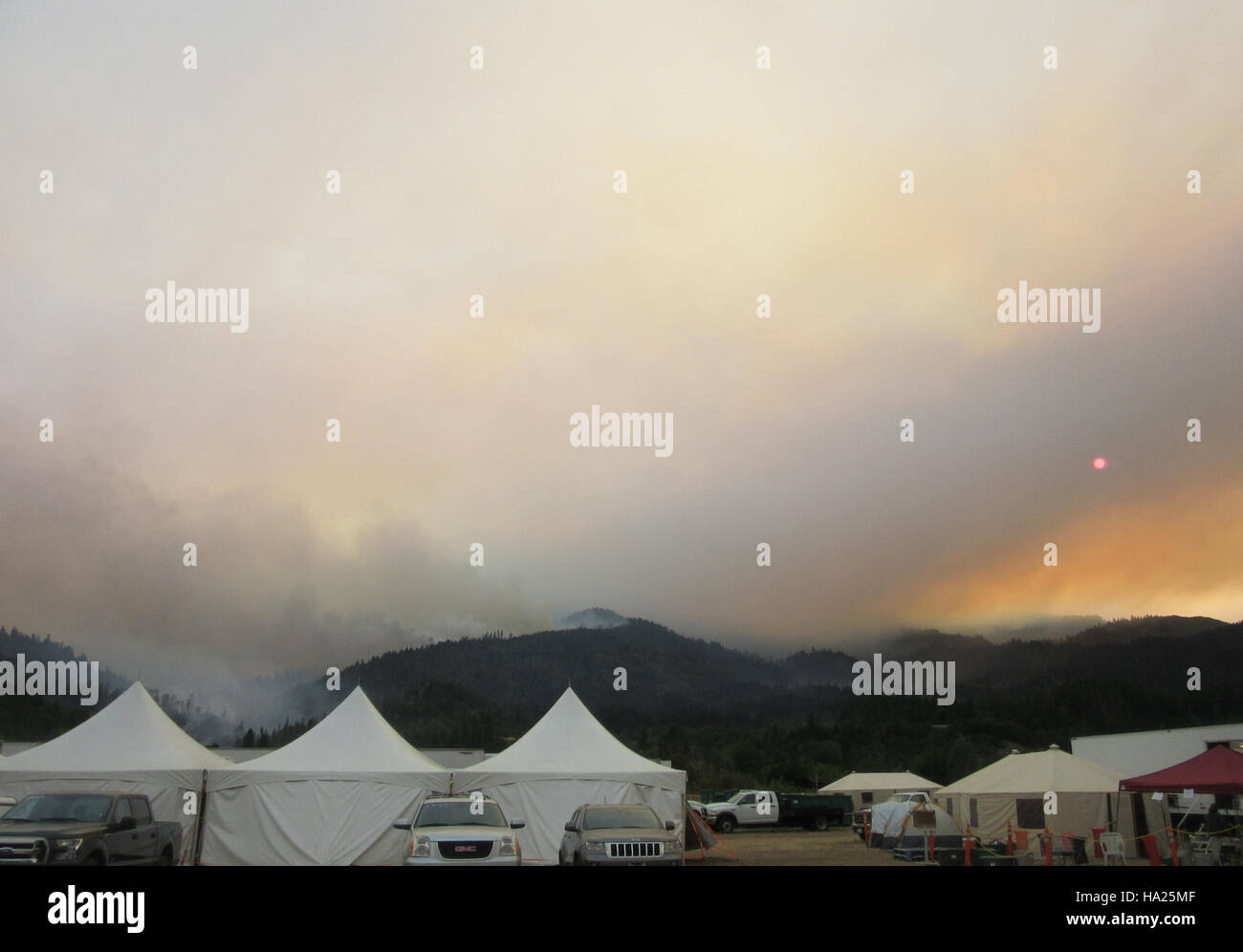 A wildfire in California caused significant environmental damage to ...