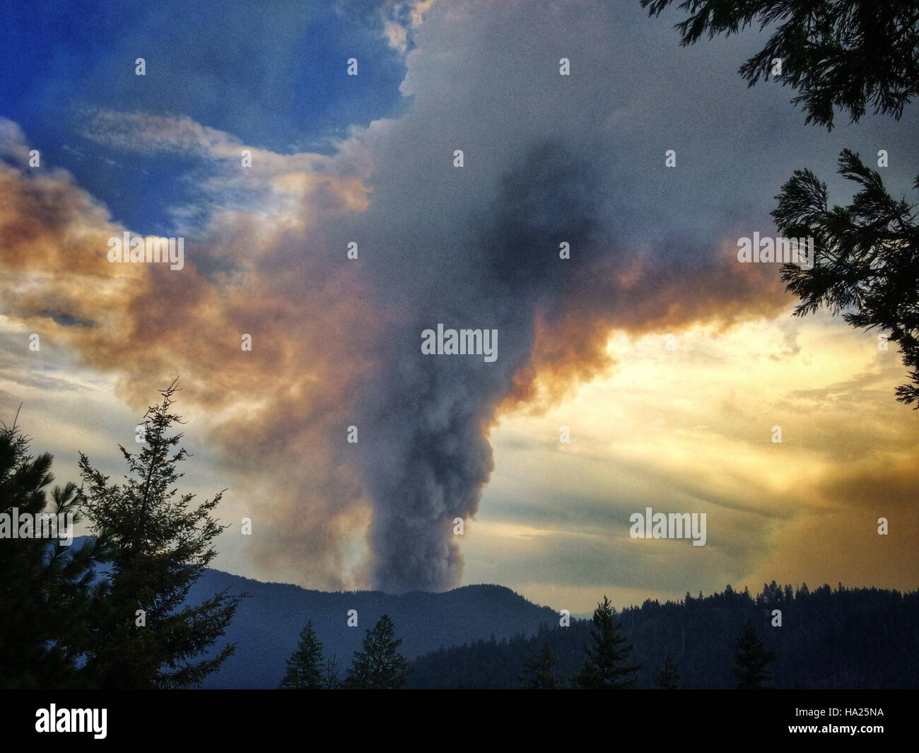 A photograph showing the aftermath of a wildfire in California. The ...