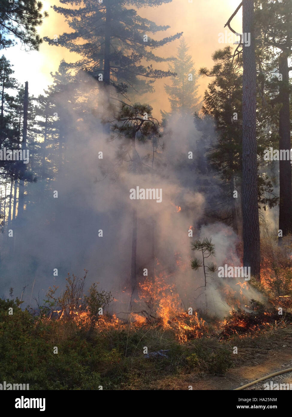 This image captures the aftermath of a wildfire in California ...