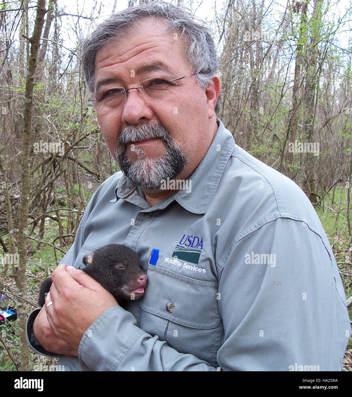 Aphis species hi-res stock photography and images - Alamy
