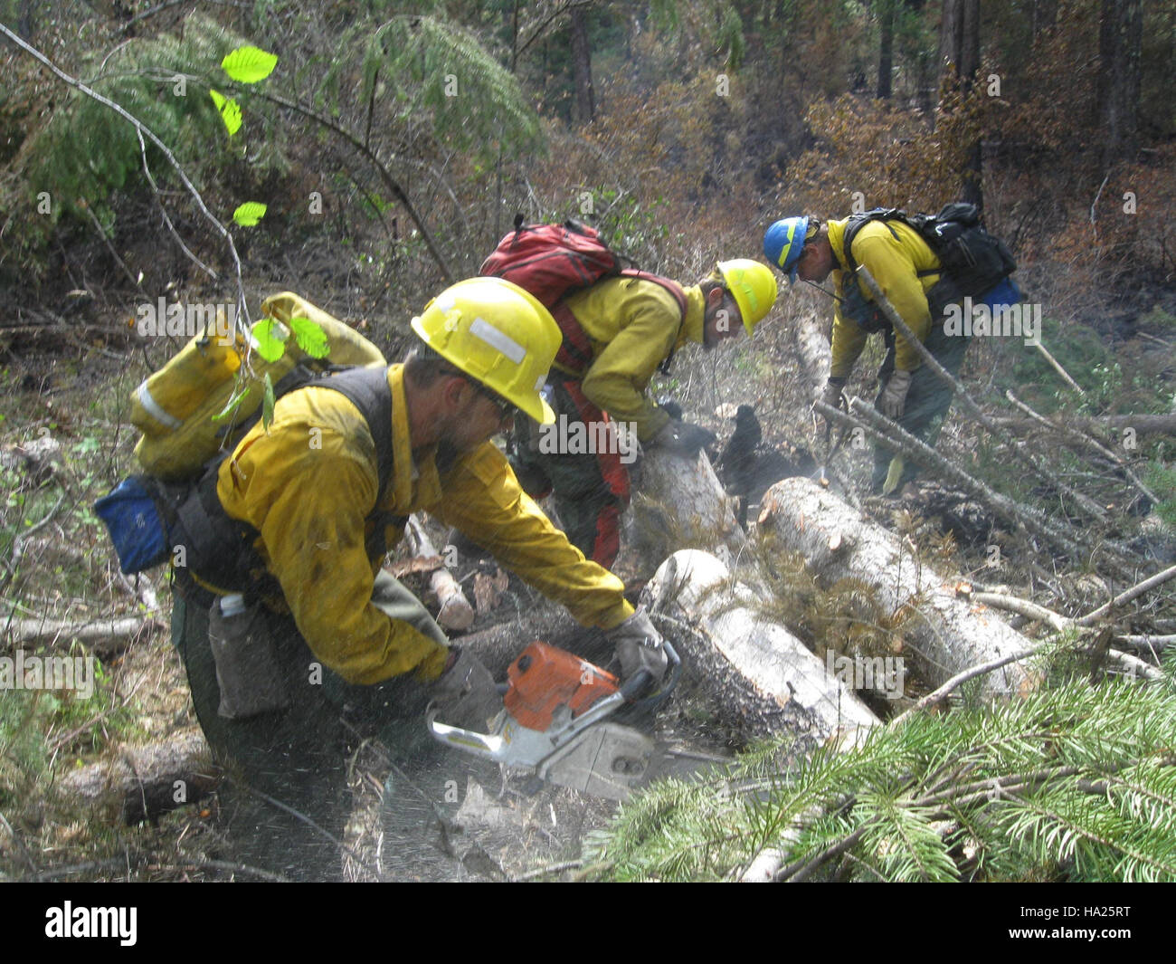 The USDA Forest Service responded to wildfires in Washington ...